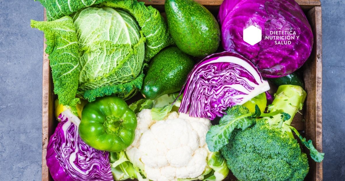 Tipos De Verduras De Invierno Verduras De Invierno – Extensión En